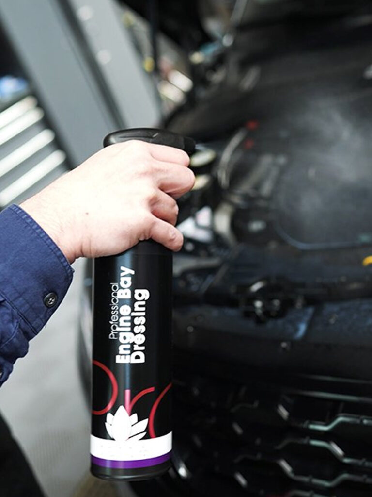 Nanolex Professional Engine Bay Dressing 750ML – Motor Koruyucu Sprey ...
